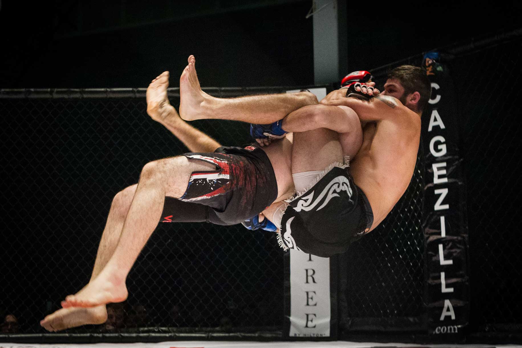 CageZilla - MMA - Matt Semelsberger - cagezilla.com - Wylde Style ...
